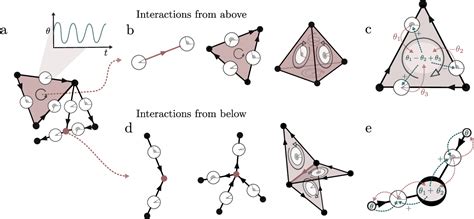 Figure 3 From A Unified Framework For Simplicial Kuramoto Models