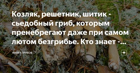 Козляк решетник шитик сьедобный гриб которым пренебрегают даже при