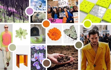 which colors will emerge in 2024 hmh color forecast