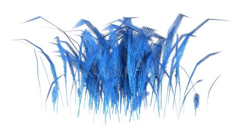 3d Rendering Alien Grass On White Stock Illustration Illustration Of