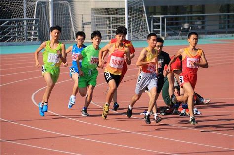 运动训练专业 文化艺术类 招生报考网