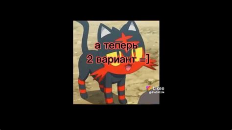 это что за покемон Youtube