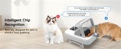 Cat Microchip Feederautomatic Microchip Pet Feeder Isenvo Cat Microchip Feederautomatic Microchip Pet Feeder Isenvo