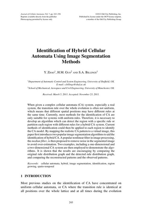 pdf identification of hybrid cellular automata using image