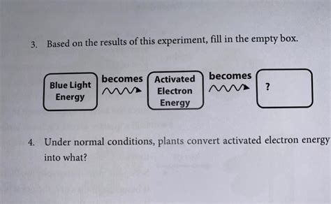 Solved 3 Based On The Results Of This Experiment Fill In