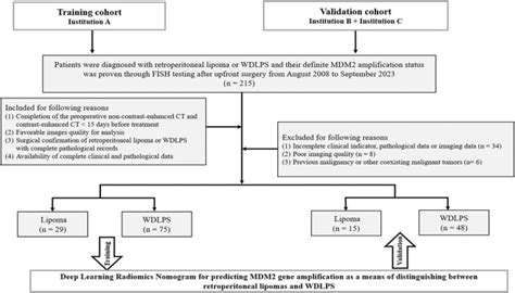 Preoperative Contrast Enhanced Ct Based Deep Learning Radiomics Model For Distinguishing