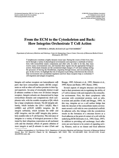 Pdf From The Ecm To The Cytoskeleton And Back How Integrins Orchestrate T Cell Action