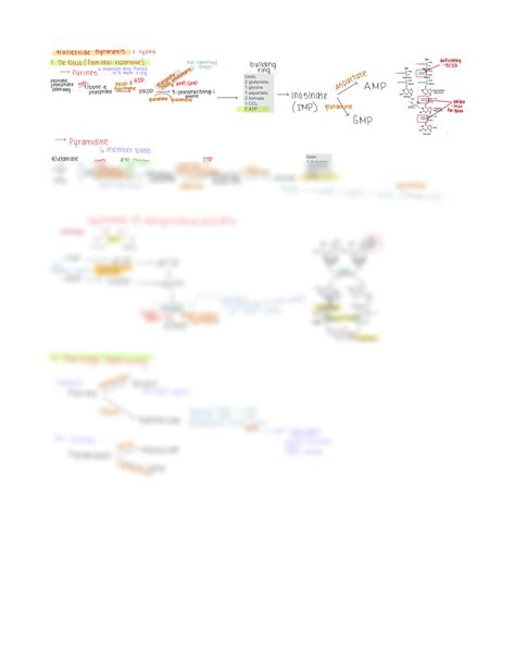 Solution Nucleotide Synthesis Color Coded Studypool