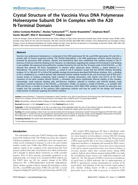 Crystal Structure Of The Vaccinia Virus Dna Poly D4 Pdf Dna Proteins