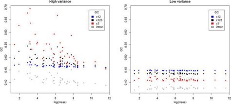 Negative Associations Between Coding Gc And Body Mass Are Stronger For