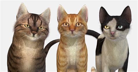 Cats Pack Characters Unity Asset Store