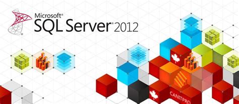 Ms Sql Consulting
