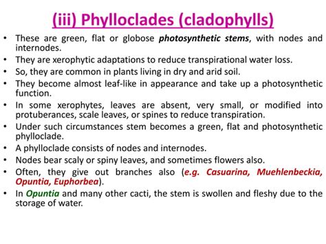 Stem Modifications PPTX