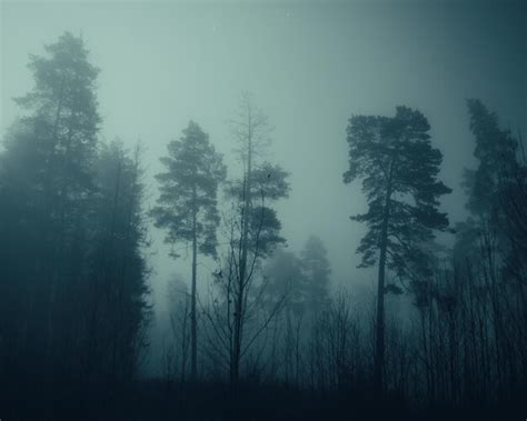 Premium Photo Night Mode