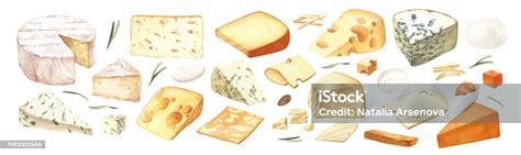 수채화 다른 종류의 치즈와 잘린 조각 우유 유제품 하얀 배경에 분리된 맛있는 음식 손으로 그린 그림 메뉴 레시피 라벨 포장 디자인에 적합 수채화에 대한 스톡 벡터 아트 및
