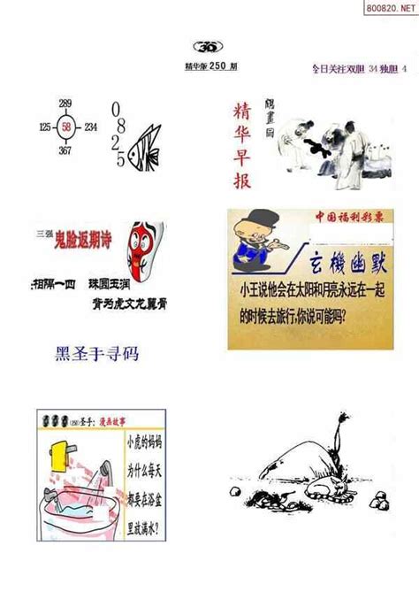 2023年250期精华布衣3D全图 天齐网