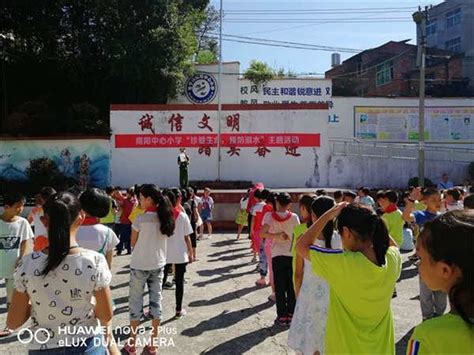南陽中心小學珍愛生命預防溺水主題教育活動 每日頭條