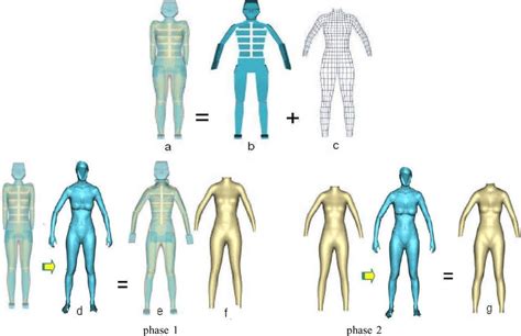 Example Based Modeling A An HB Template Model Obtained By Coupling A Download Scientific