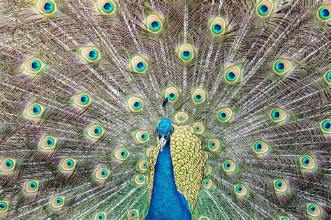 How To Train An Instance Segmentation Model With No Training Data