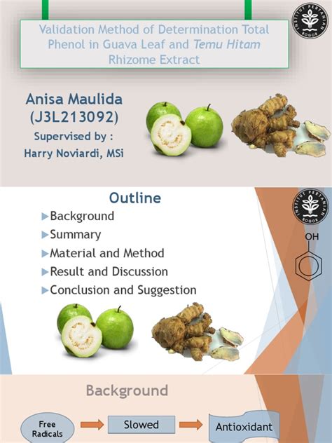 Validation Method Pdf Ultraviolet Visible Spectroscopy Spectrophotometry