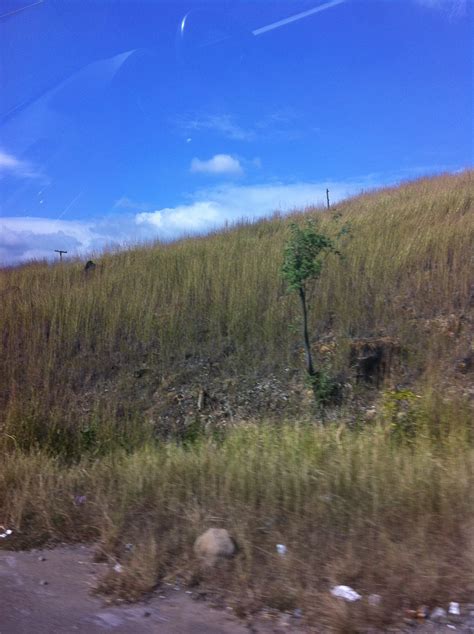 Elevation Of Townsite Limay Bataan Philippines Maplogs