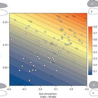 Estimated Model Coefficients Relating Sexual Size And Shape Download Scientific Diagram