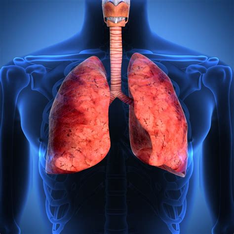 Researchers Find That Lung Cancer Patients With Brain Metastases And Rare Genetic Mutations Have