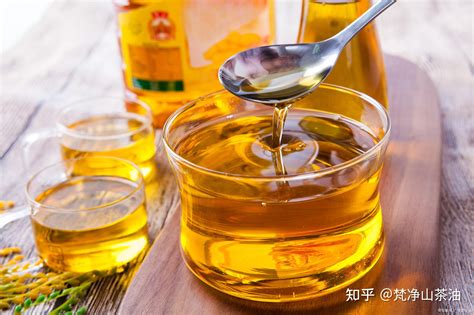 贵州山茶茶油的市场定位与营销策略 知乎