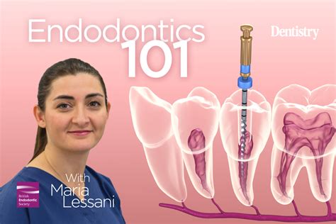 Endodontics 101 Understanding The Basic Principles Dentistry