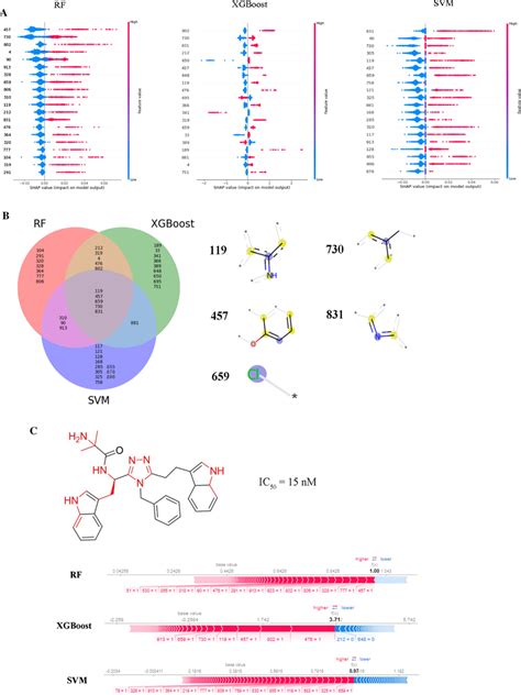 A The Top 20 Important Features Ranked By Shap For The Rf Xgboost And Download Scientific