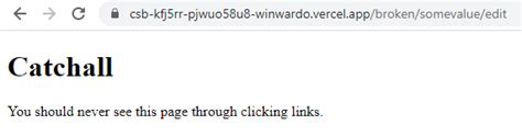 Middleware Causes Router To Choose Root Server Rendered Catchall Over More Specific Dynamic