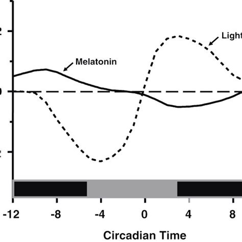 Schematic Representation Of The Phase Response Curves To Light And