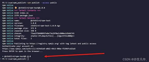 前端npm包发布流程：从准备到上线的完整指南 npm publish csdn博客