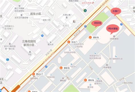 湖大新增一校门，进出校园又有新选择！荆楚号荆楚网湖北日报网