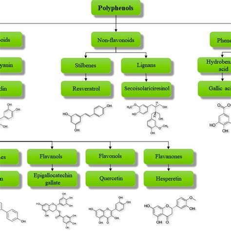 Classification Of Polyphenols And Chemical Structure Of A Compound In Download Scientific