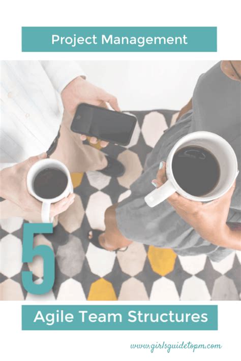 Agile Teams Roles Structures That Work Girl S Guide To Project Management