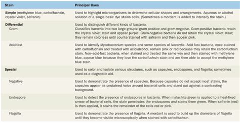 Microscopy And Staining Exam 1 Diagram Quizlet