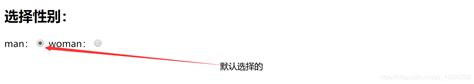 html表单标签＜form＞＜ form＞登录窗口和单选框以及下拉栏的制作 html中正方形单选框组 csdn博客