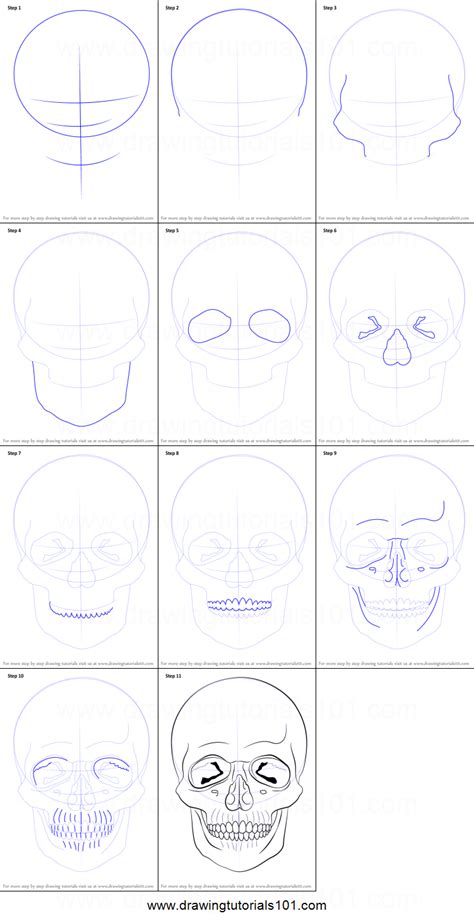 How To Draw A Skull Printable Step By Step Drawing Sheet DrawingTutorials Com Skull