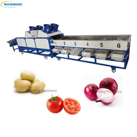 Fruit Size Sorting Machine Wm Machinery