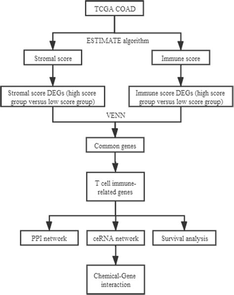 Workflow Of Dataset Processing Download Scientific Diagram
