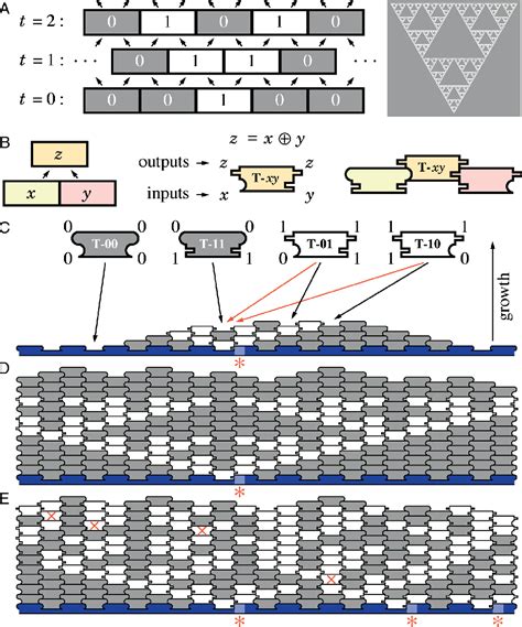 Figure 1 From Algorithmic Self Assembly Of Dna Sierpinski Triangles