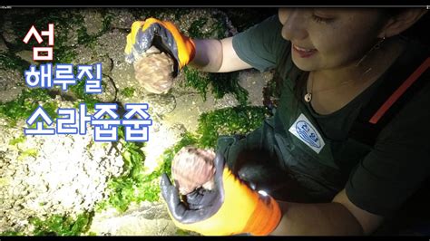 소라줍줍 섬캠핑 소라해루질 덕적도 덕적도소라해루질 Youtube