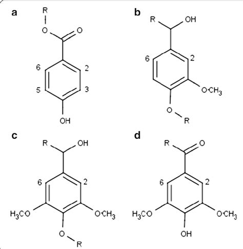 Molecular Structures Of Selected Hardwood Lignin Monomers A