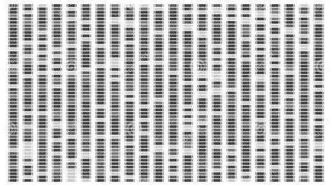 Chromosome Data Map Dna Sequence Vector Visualization Pattern Stock
