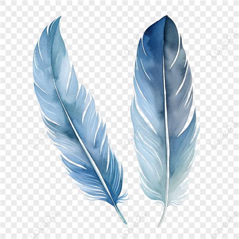 수채화 블루 깃털 클립 아트그린휴일장식적인