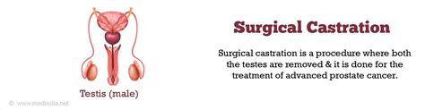 Surgical Castration