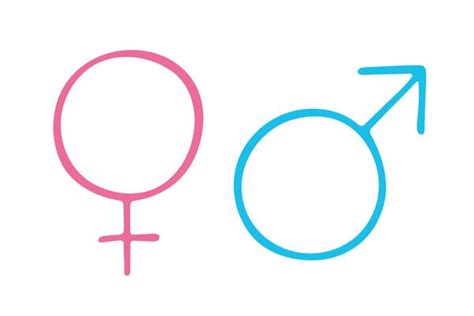 Gender And Sexuality Vector Art Icons And Graphics For Free Download
