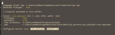 Lsp Network Paths In Windows `machomeprojectsdistant` Cause Invalid String Values With
