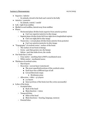 Lecture Notes Introduction CNS Overview Lecture Introduction CNS Overview Studocu